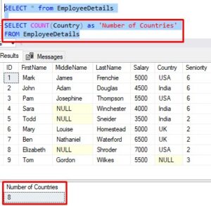 The difference between COUNT(*) and COUNT(column), Answered!
